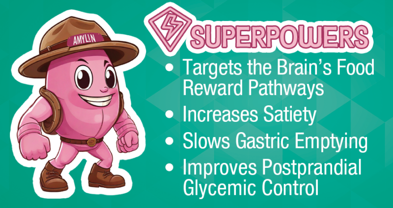 Amylin Adventure - Vindico Medical Education