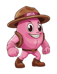 Amylin Adventure - Vindico Medical Education